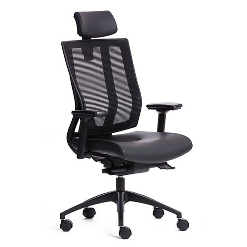 NetOne Ergonomic Highback Office Chair – Basics Home